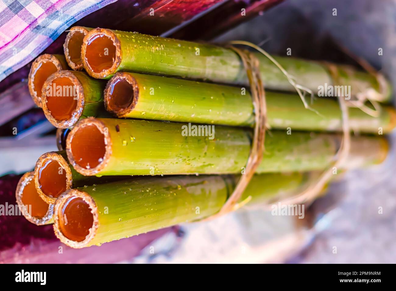 Food bamboo tubes hi-res stock photography and images - Alamy