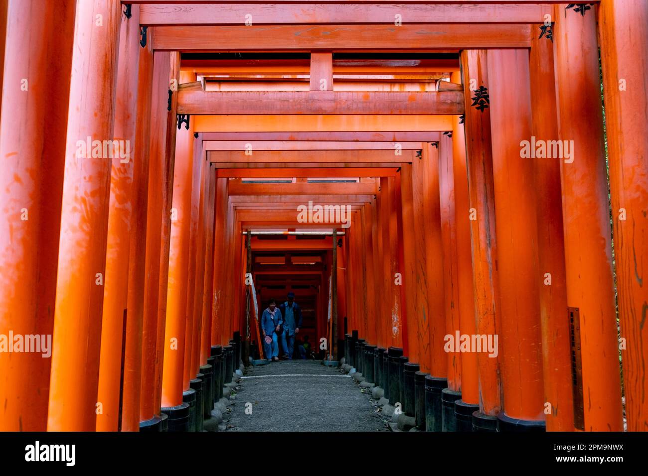 Kyoto, Japan - March 24, 2023: Columns at the iconic Fushimi Inari ...