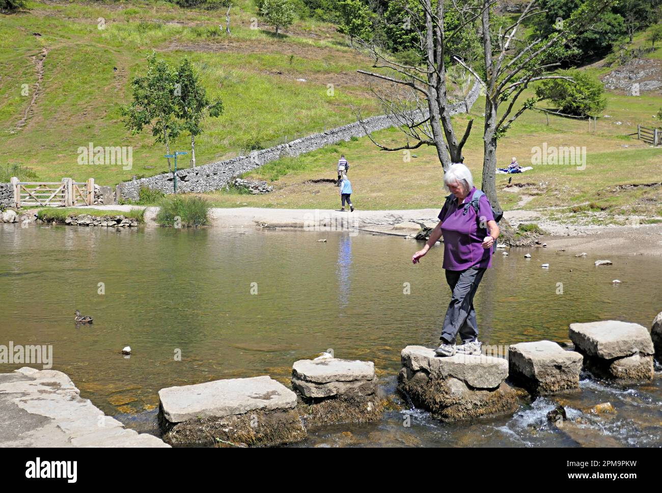 Stepping stones. Dove Dale Stock Photo - Alamy