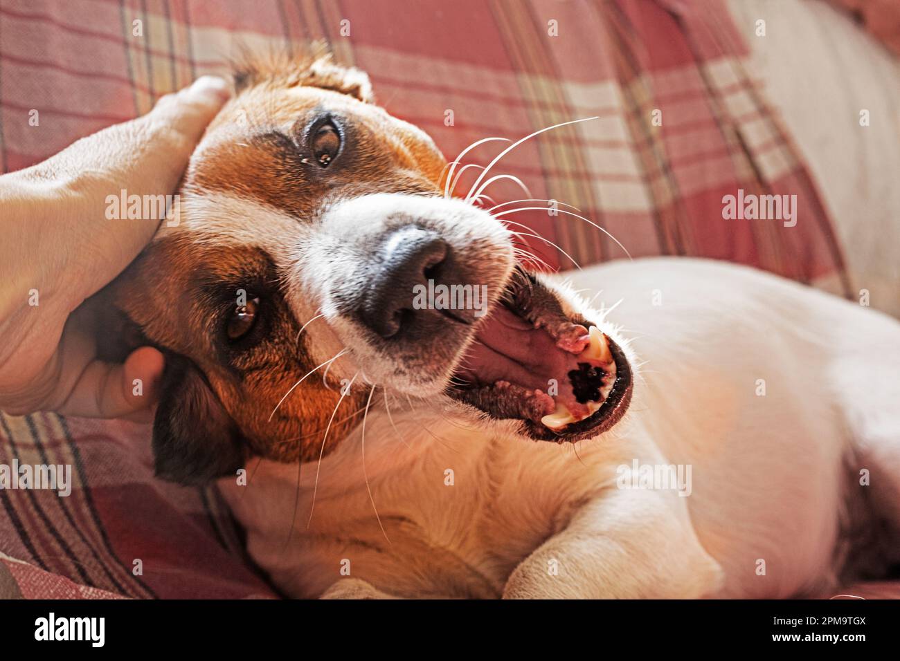 Hand scratching ear hi-res stock photography and images - Alamy
