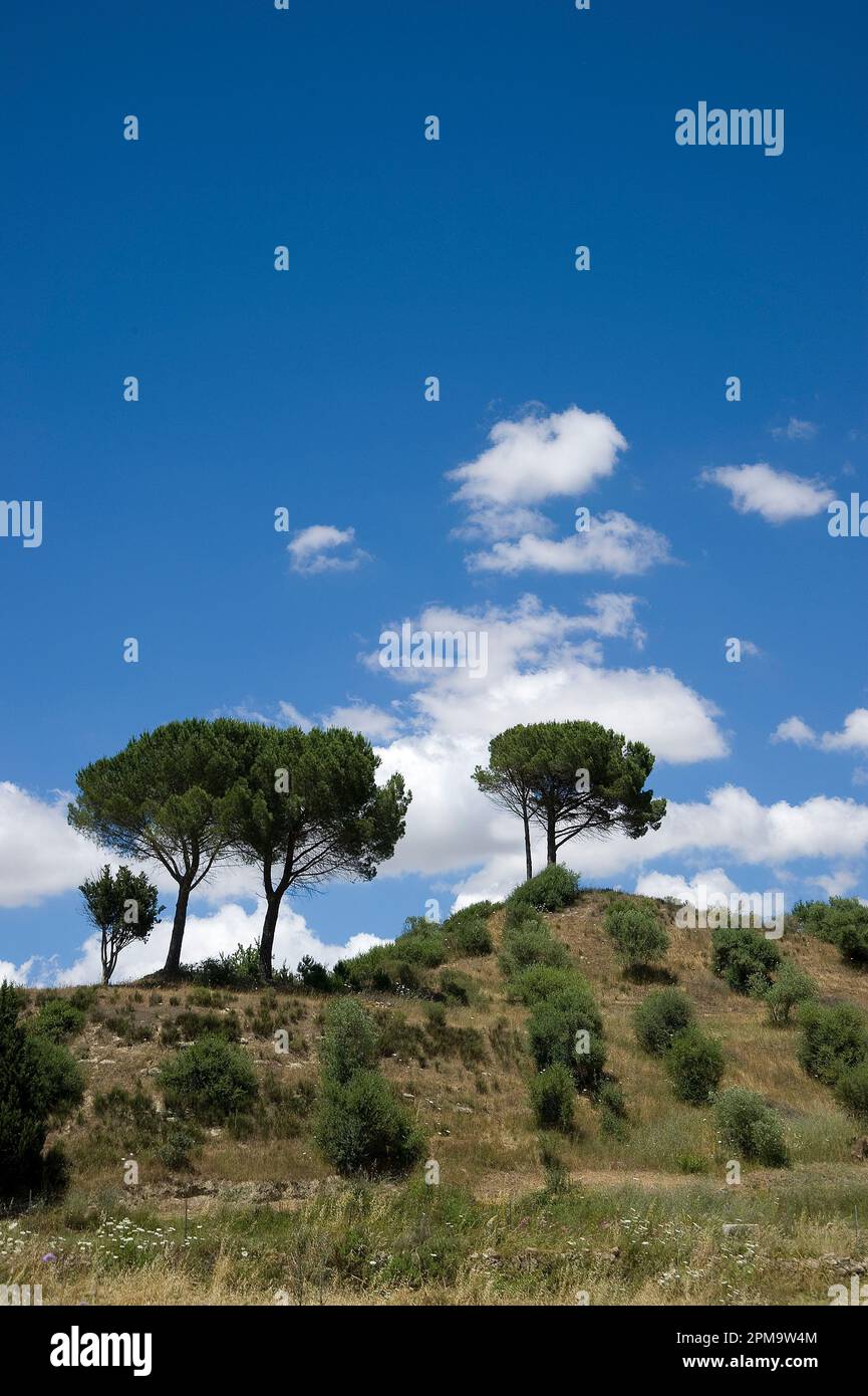 Valle dei vulcani. Logudoro Meilogu.Paesaggio vicino a Siligo. Sardegna ...
