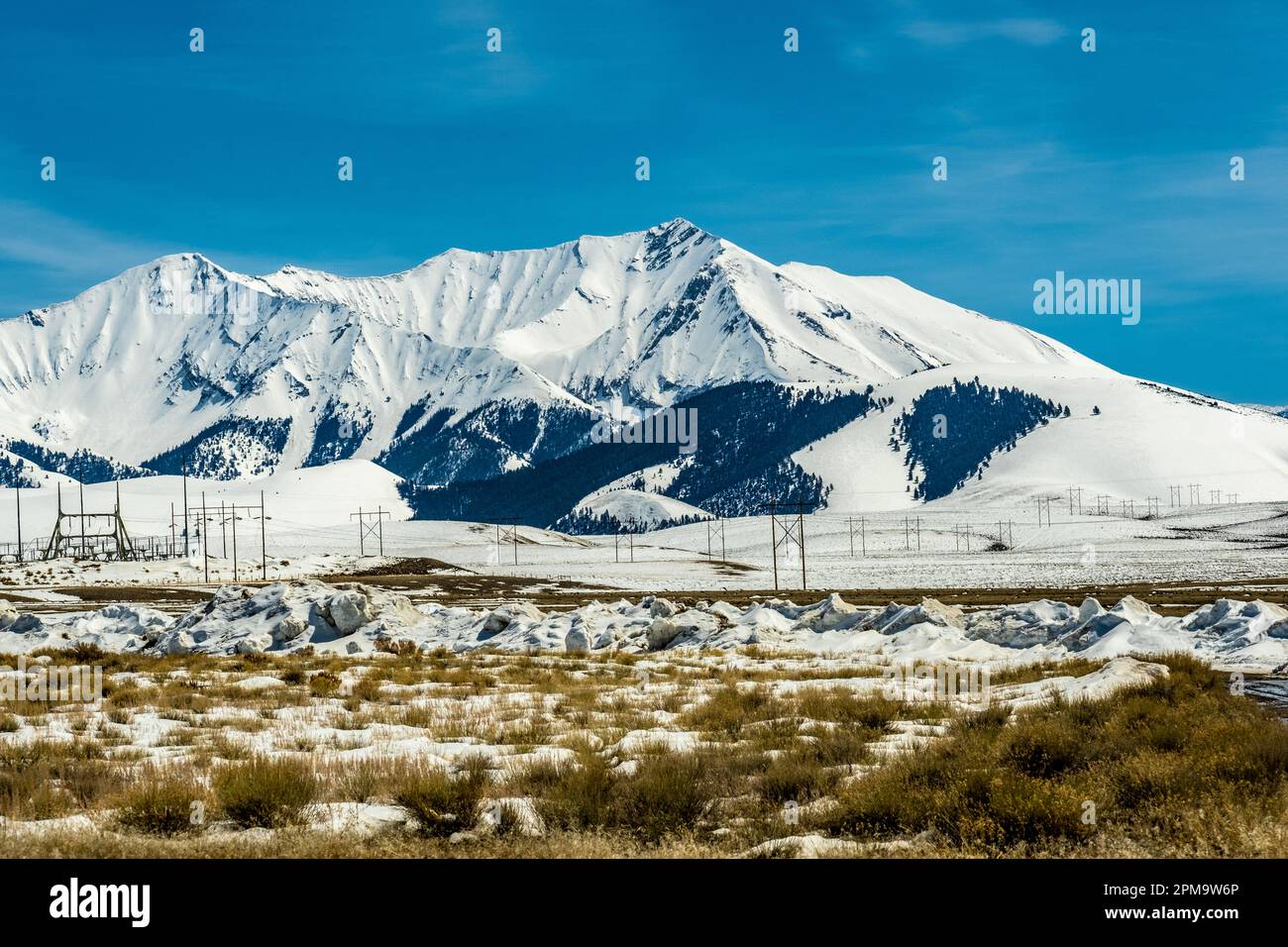 Digital downloads for sale hi-res stock photography and images - Alamy