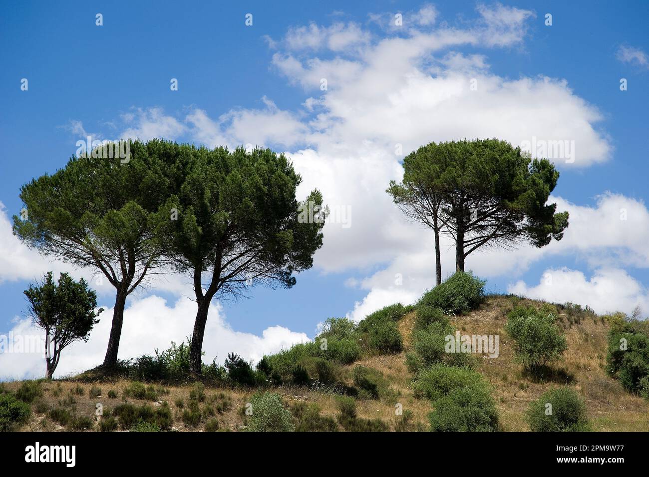Valle dei vulcani. Logudoro Meilogu.Paesaggio vicino a Siligo. Sardegna ...