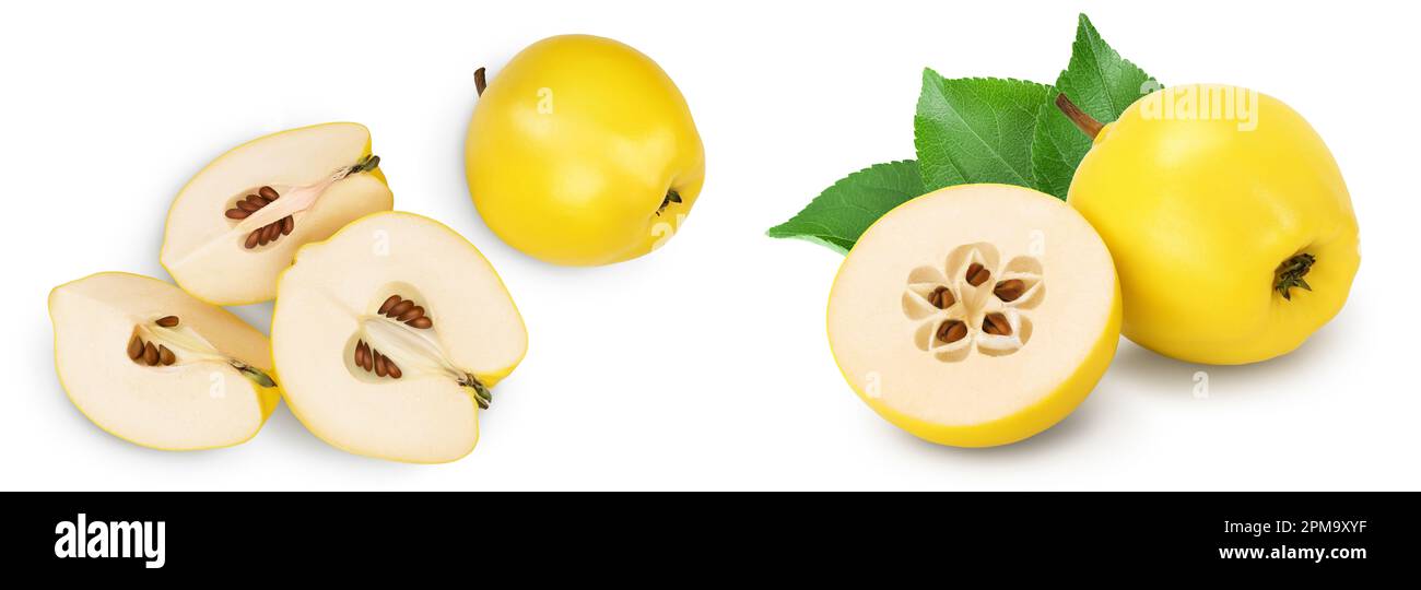 Fresh quince with half and slices isolated on the white background with ...