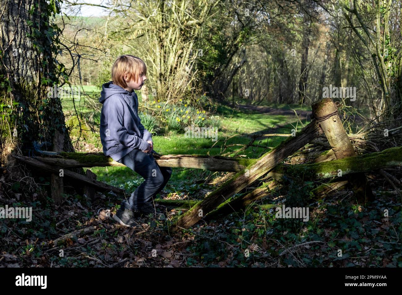 A young boy sits on a log in the forest and rests Stock Photo - Alamy