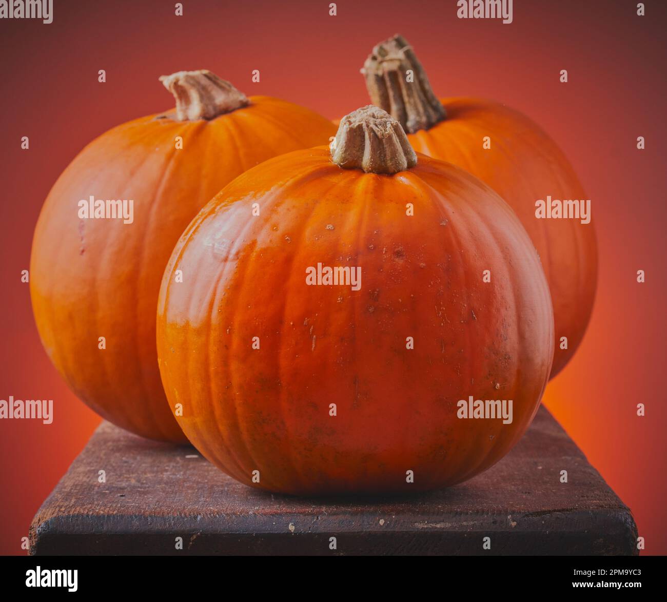Three large pumpkins resting on a stool with an orange gradient ...