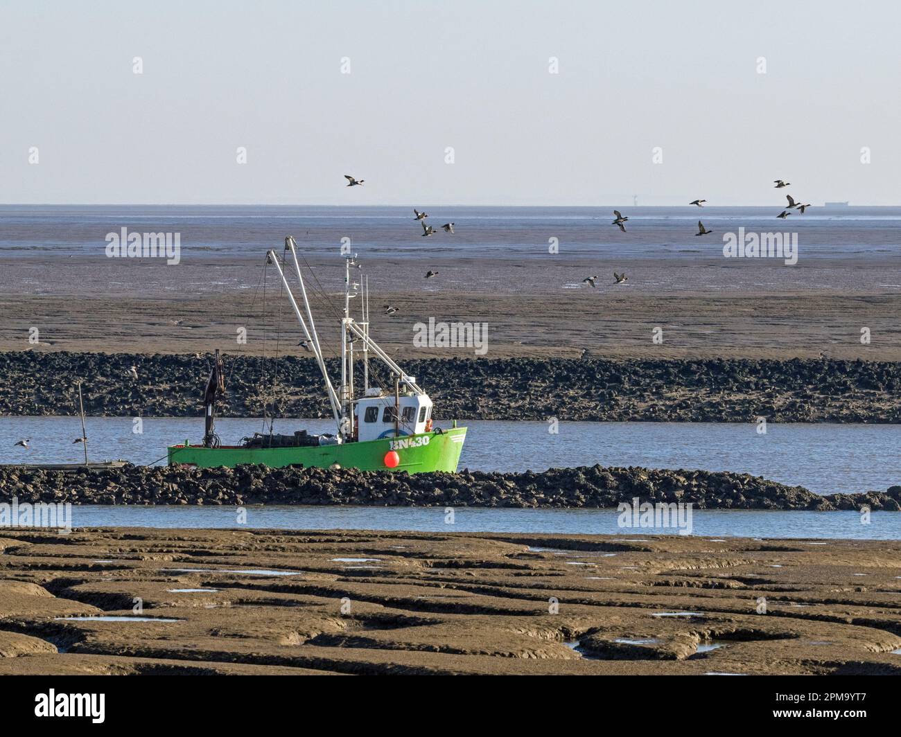 View across mud flats of the Wash estuary with fishing boat and the ...