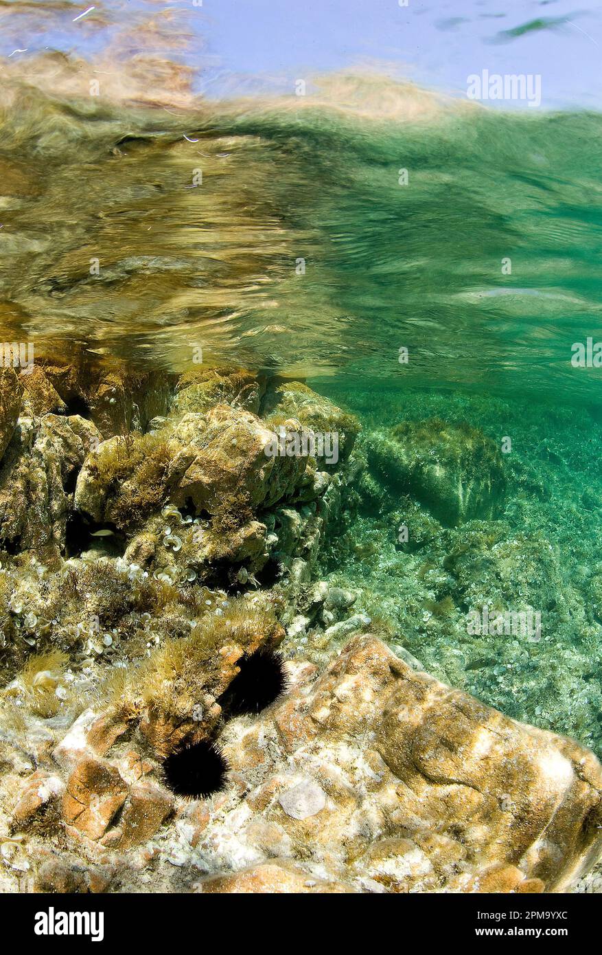 Arcipelago de la Maddalena. Razzoli. OT, Sardegna, Italy Stock Photo ...