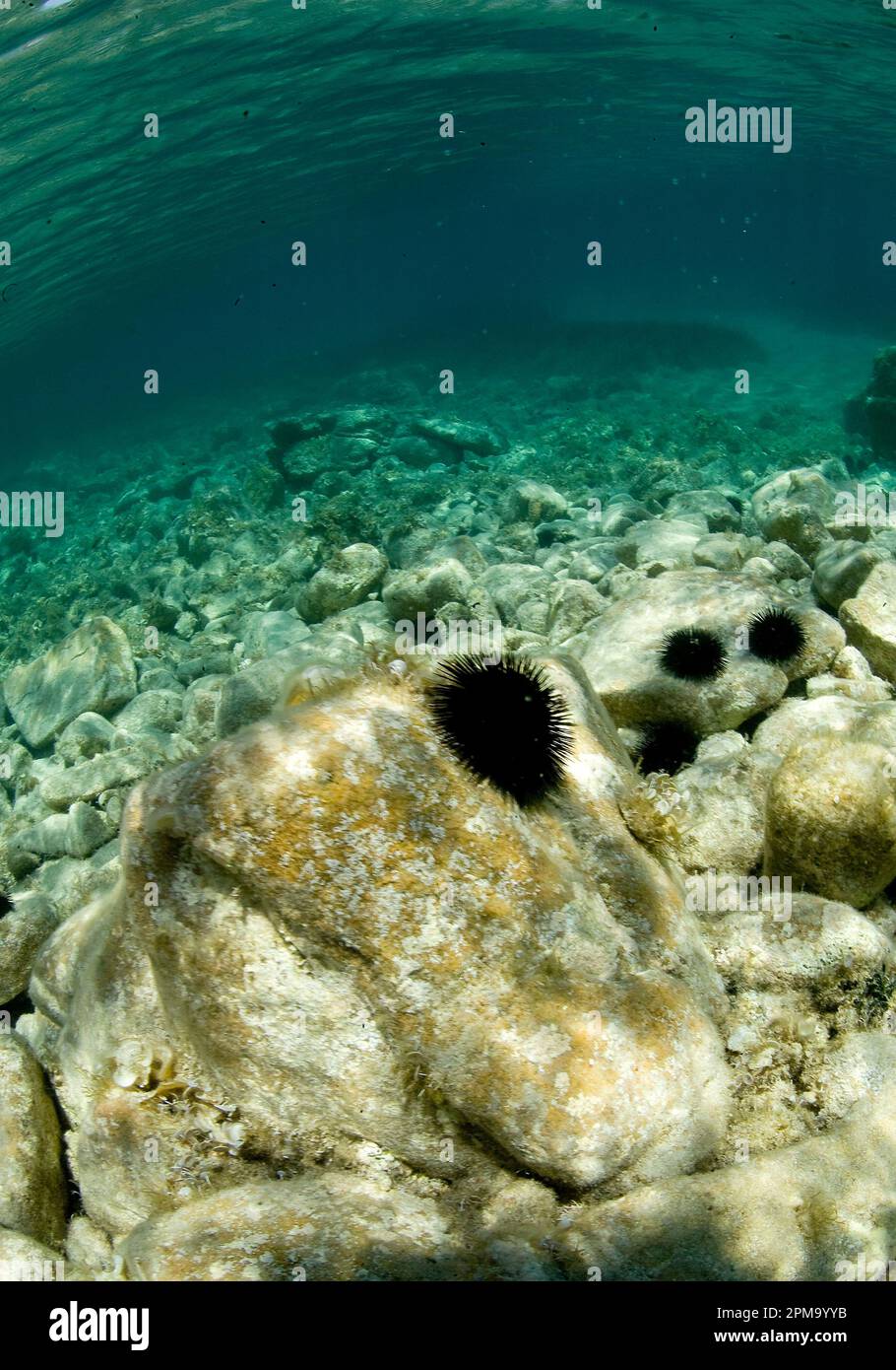 Arcipelago de la Maddalena. Razzoli. OT, Sardegna, Italy Stock Photo ...
