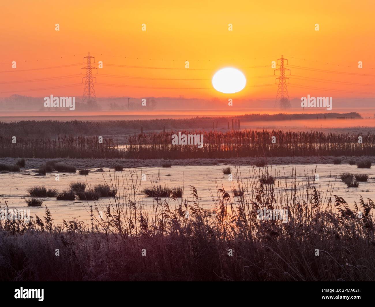 View across Lady Fen at sunrise, Welney WWT reserve, near Welney ...