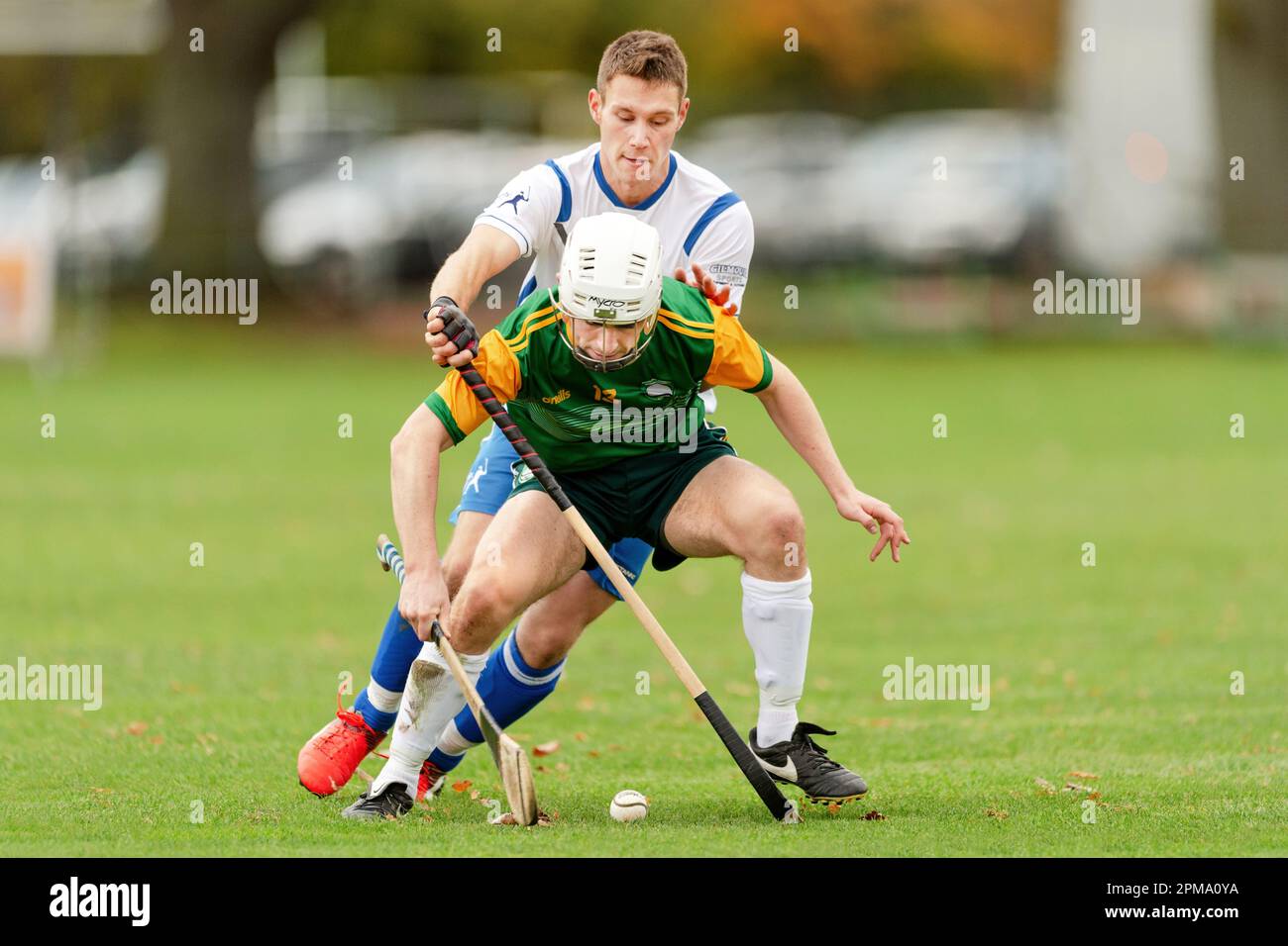 Marine Harvest Scotland v Ireland shinty hurling international, played ...