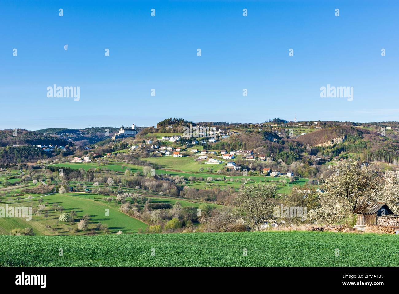 Forchtenstein: Forchtenstein Castle, Cherry trees flowering, blossoming ...