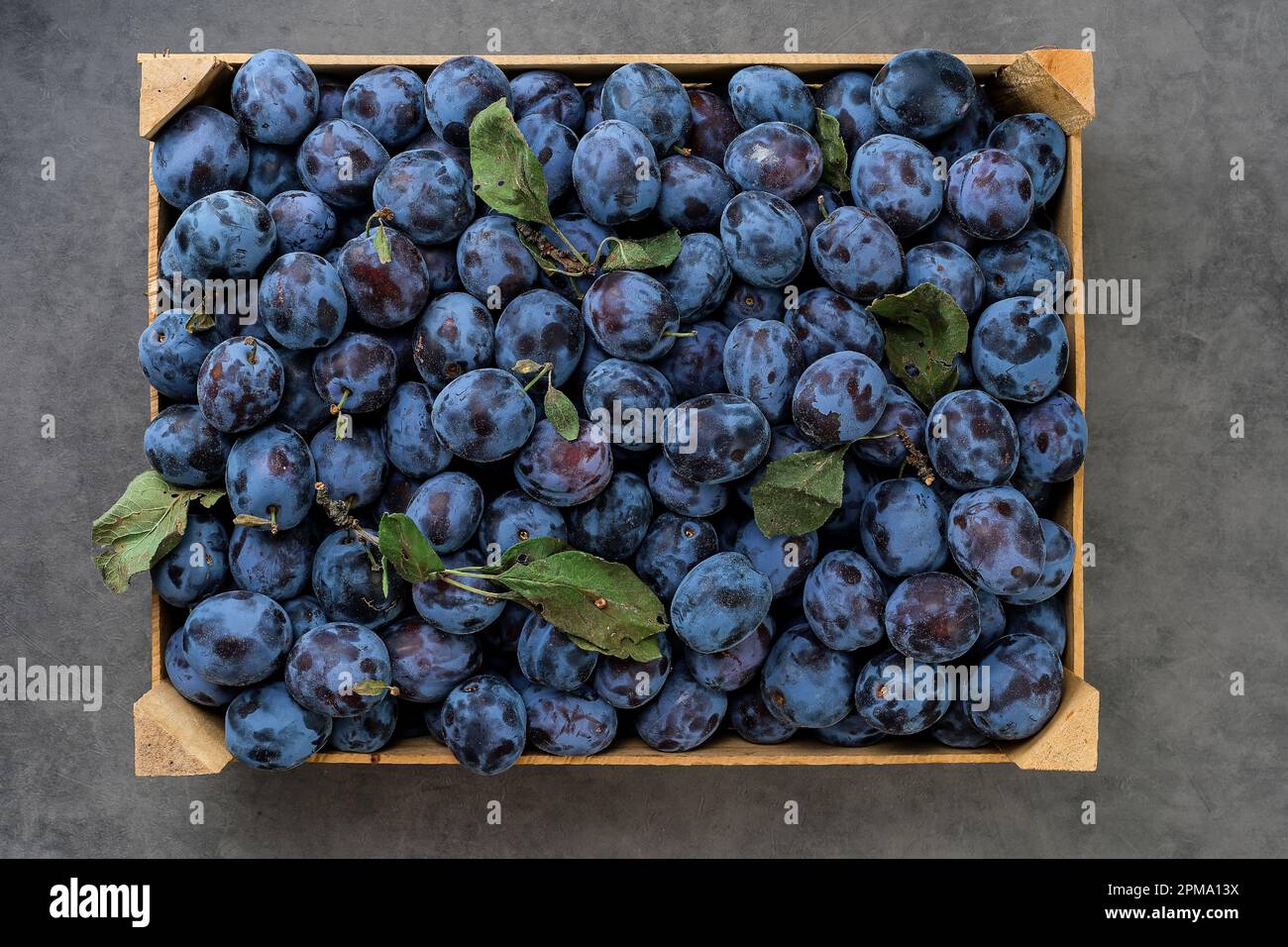 Wooden box of fresh ripe plums from the farm on a gray background, top ...