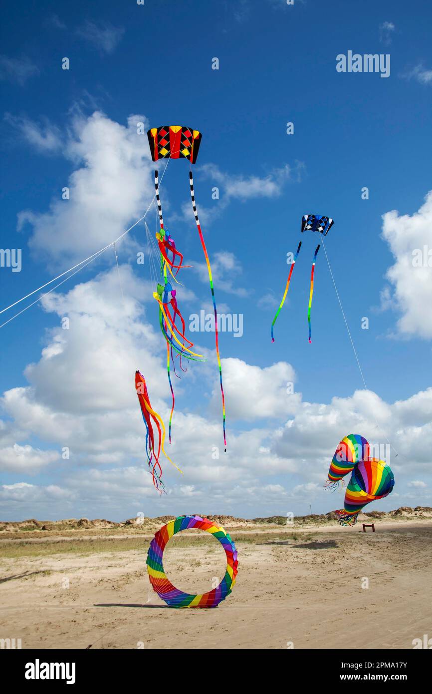 Stunt kite on the beach of, the island of Roemoe, Jutland, Roemoe ...