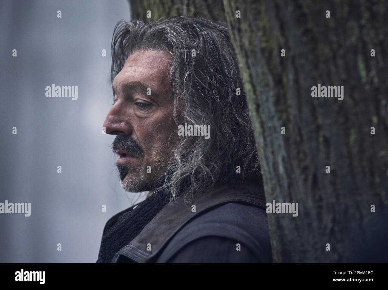 Musketeer Facial Hair