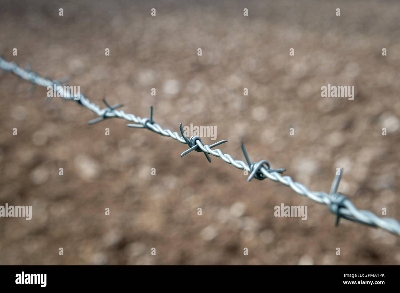 single line of barbed wire with one barb in focus Stock Photo - Alamy