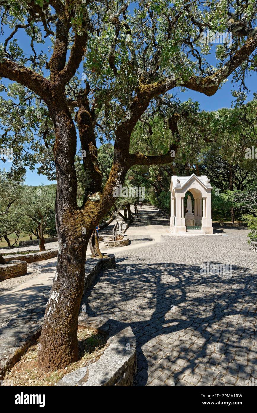 Statue of St. Mary, Stations of the Cross, Valinhos, Fatima, Olive ...