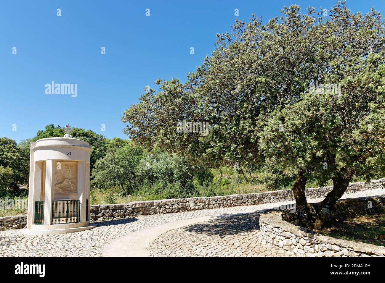 Way of the Cross, Valinhos, Fatima, Olive (Olea europaea) Portugal ...