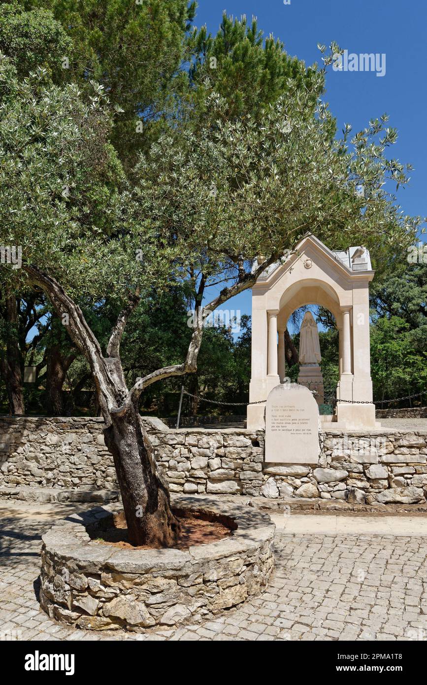 Statue of St. Mary, Stations of the Cross, Valinhos, Fatima, Olive ...