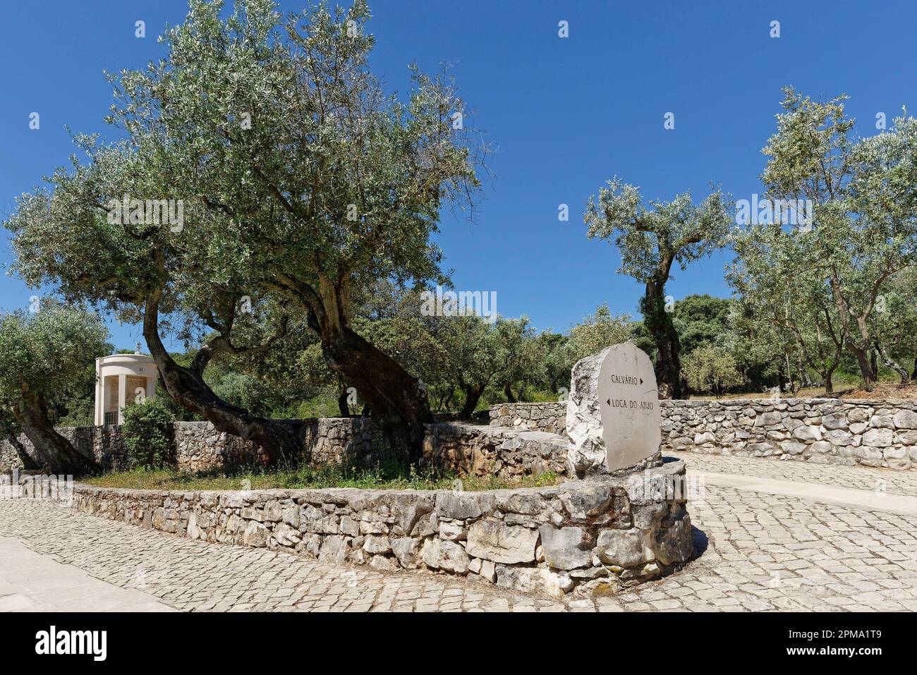 Signpost at the Way of the Cross, Valinhos, Fatima, Olive (Olea ...