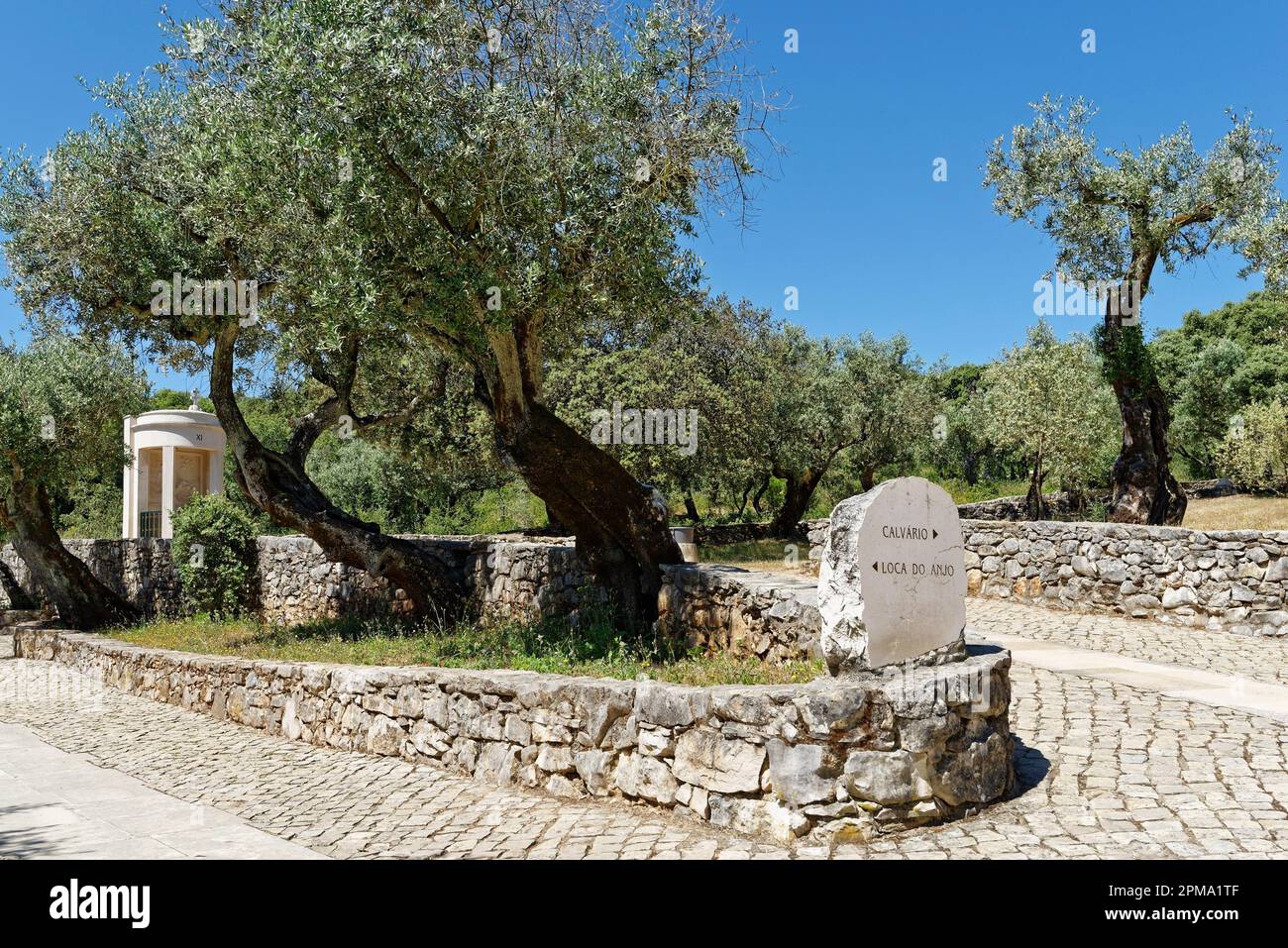 Signpost at the Way of the Cross, Valinhos, Fatima, Olive (Olea ...