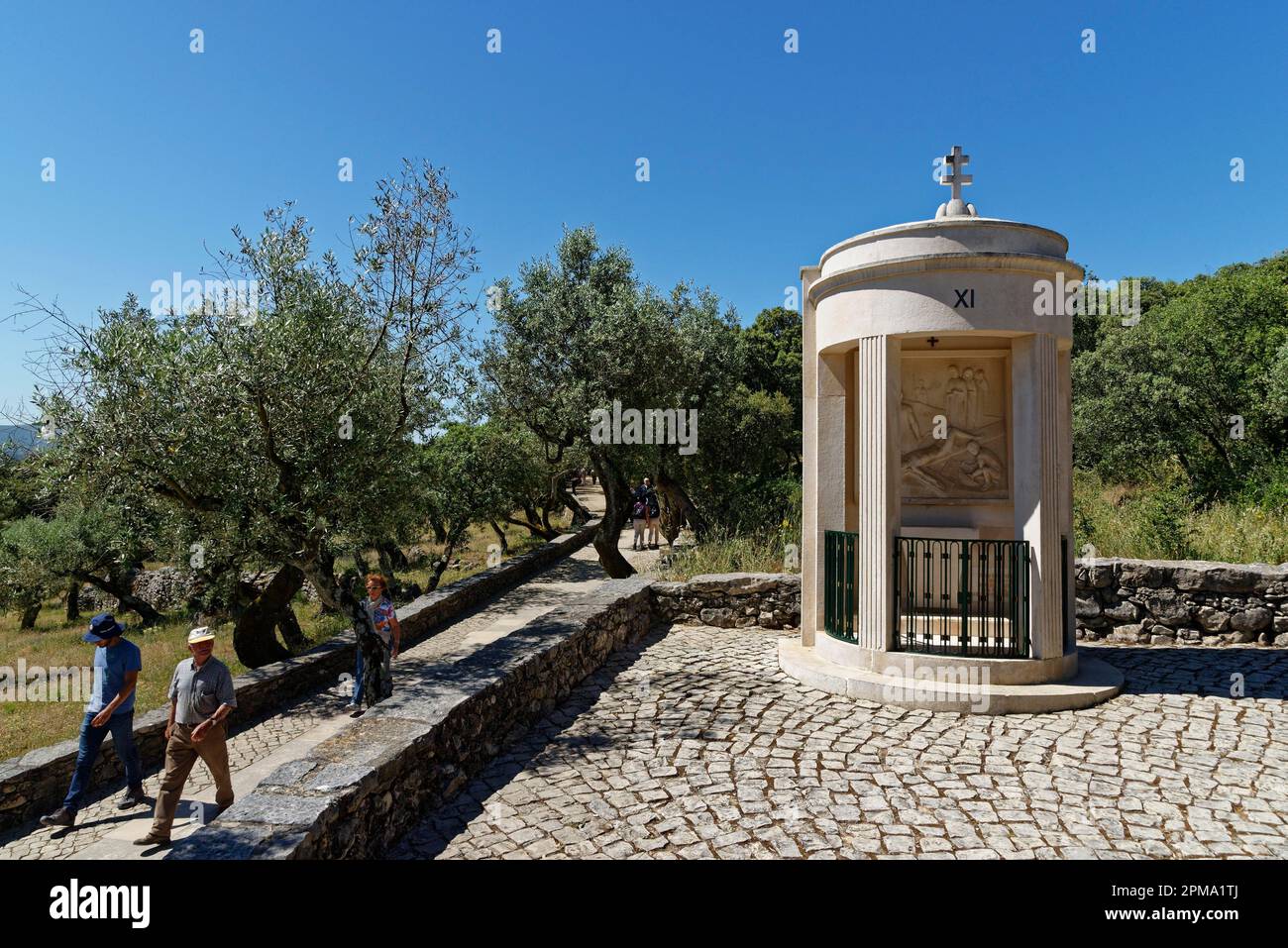 Way of the Cross, Valinhos, Fatima, Olive (Olea europaea) Portugal ...