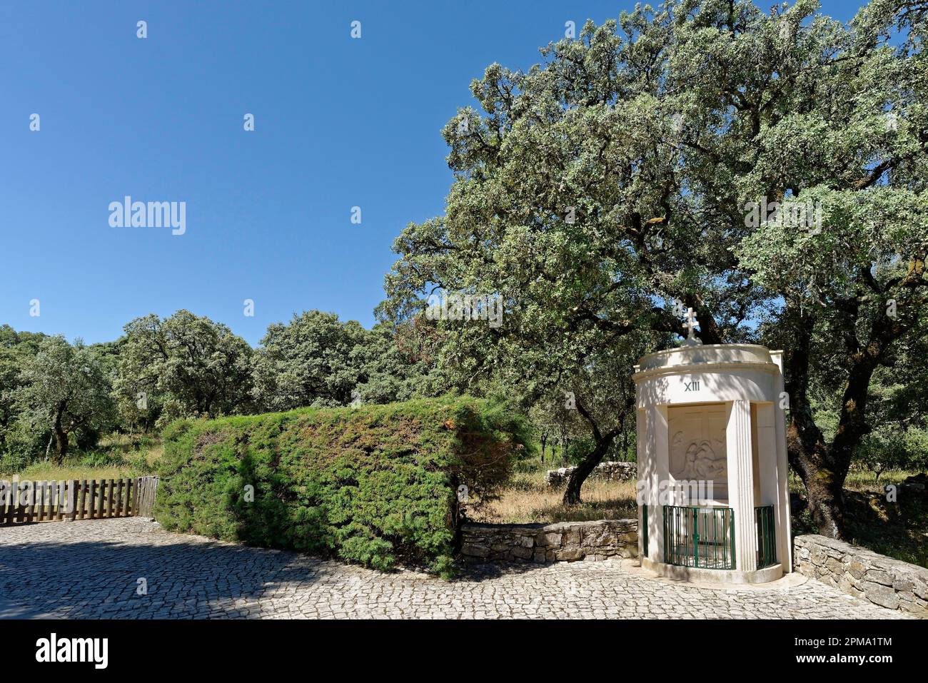Way of the Cross, Valinhos, Fatima, Olive (Olea europaea) Portugal ...