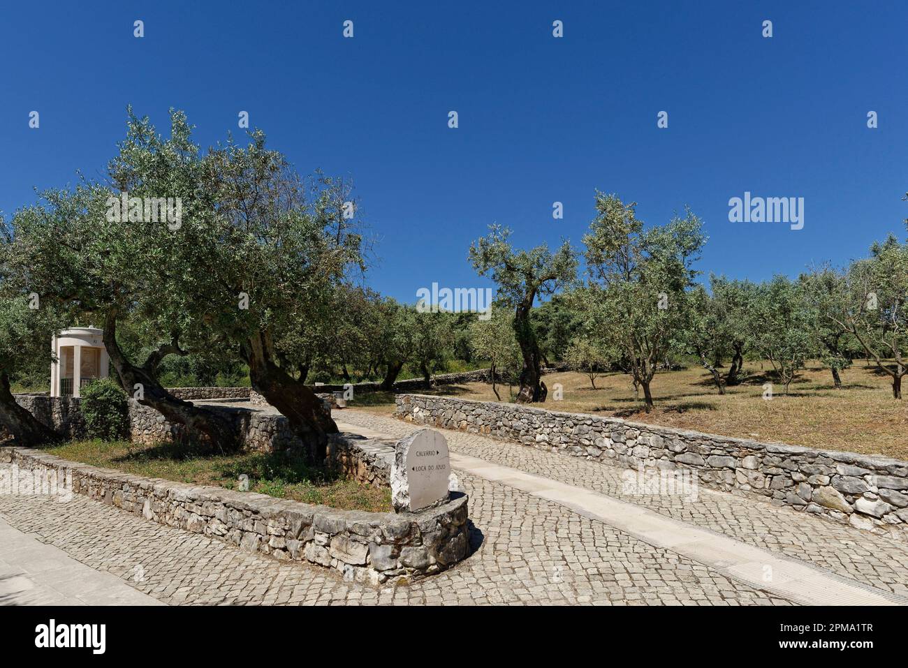 Signpost at the Way of the Cross, Valinhos, Fatima, Olive (Olea ...