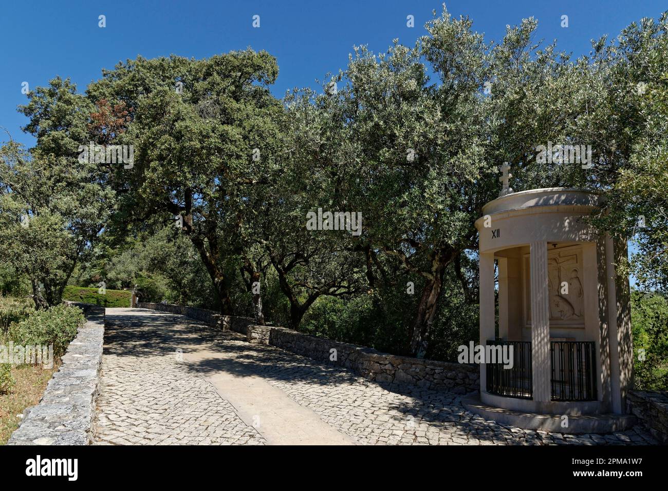 Way of the Cross, Valinhos, Fatima, Olive (Olea europaea) Portugal ...