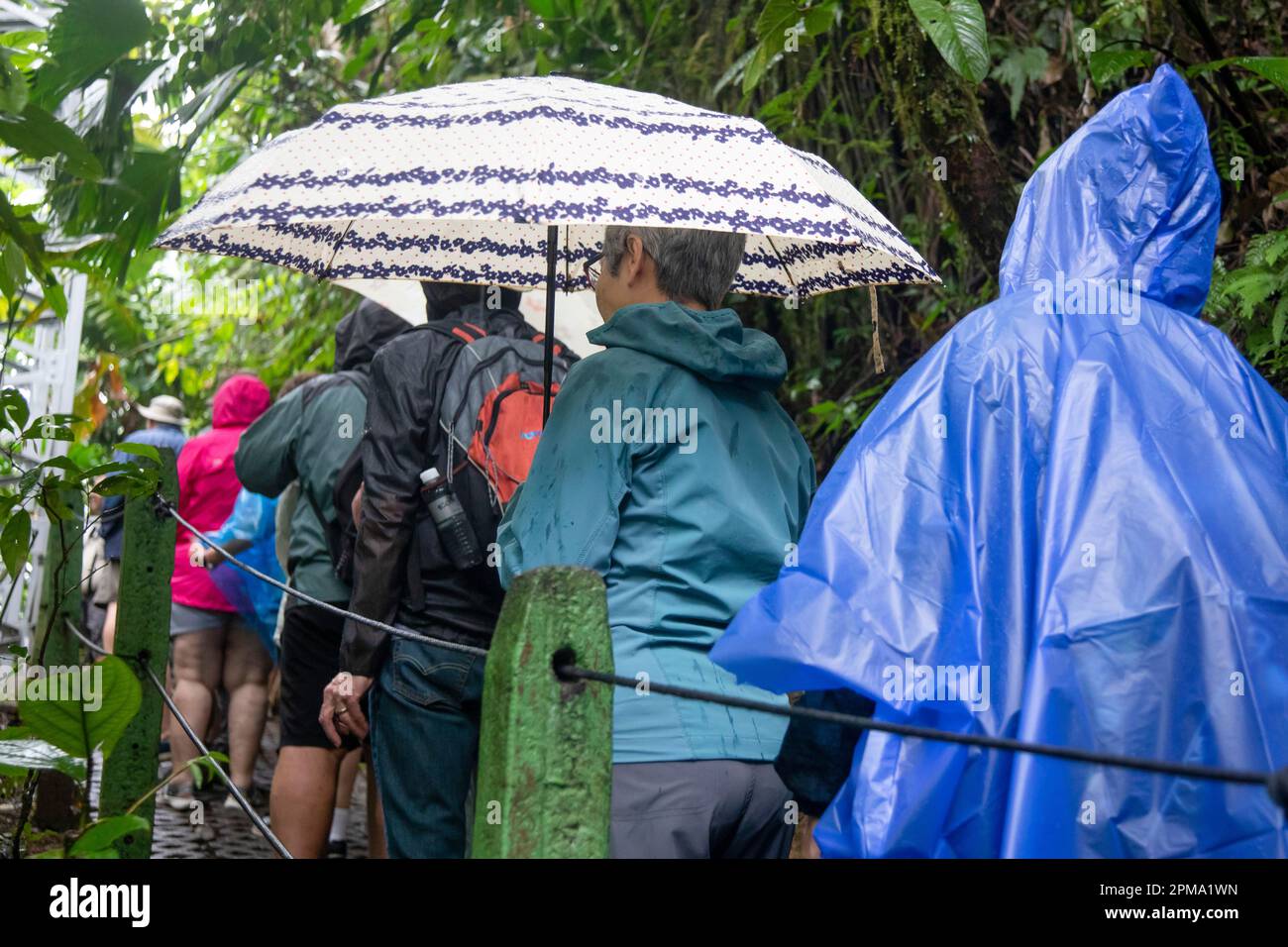 La Fortuna, Costa Rica - Tourists wait in the rain to cross a ...