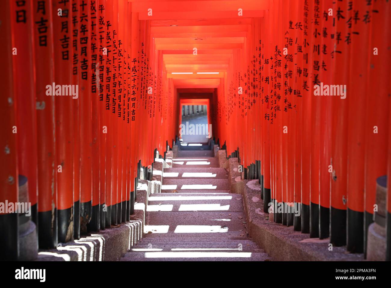 Torii gate pathway hi-res stock photography and images - Alamy