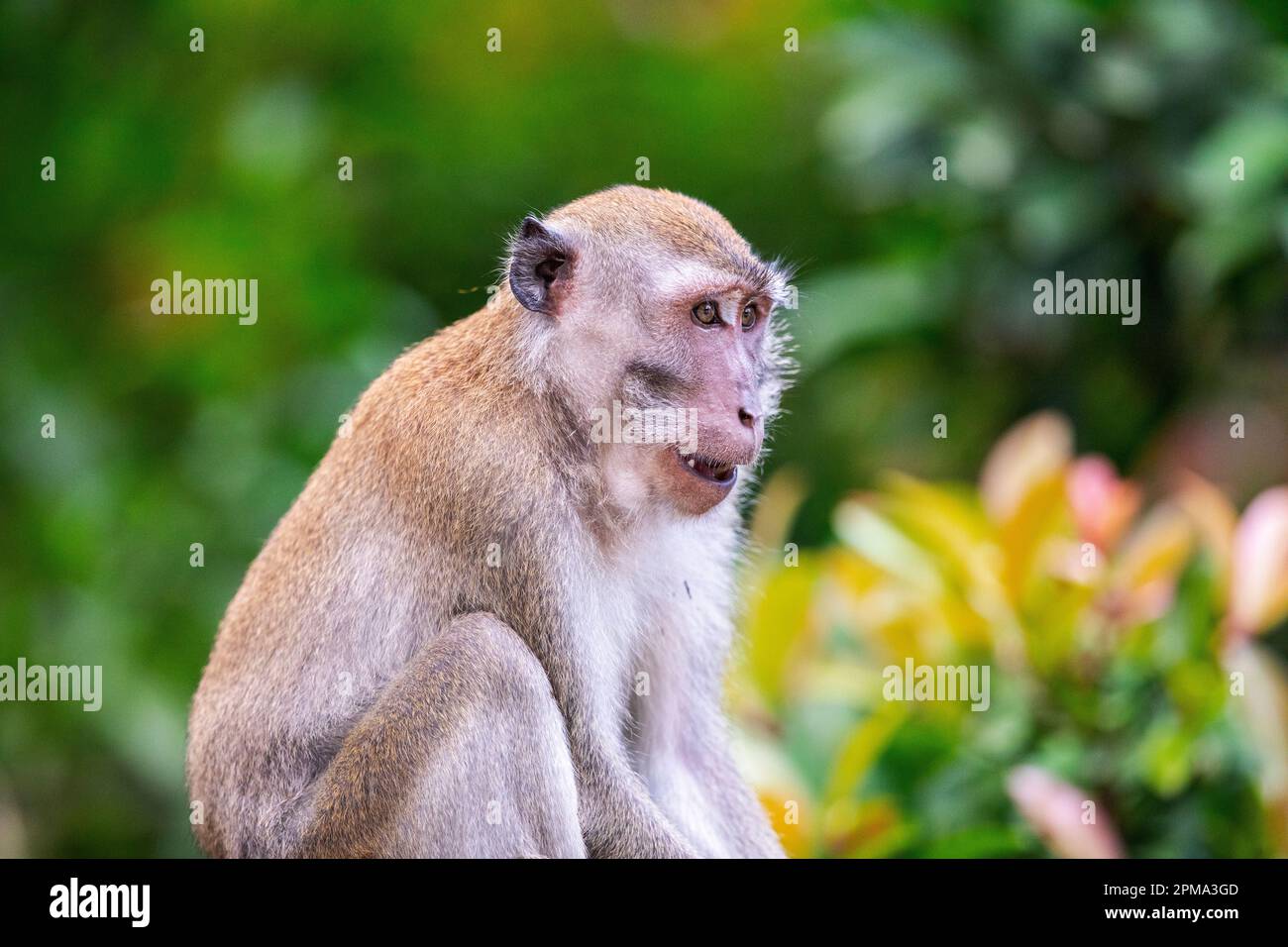 Coastal park singapore hi-res stock photography and images - Alamy