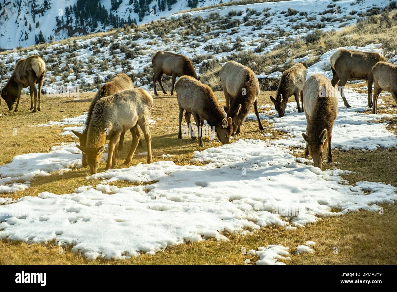 50 yard range hi-res stock photography and images - Alamy