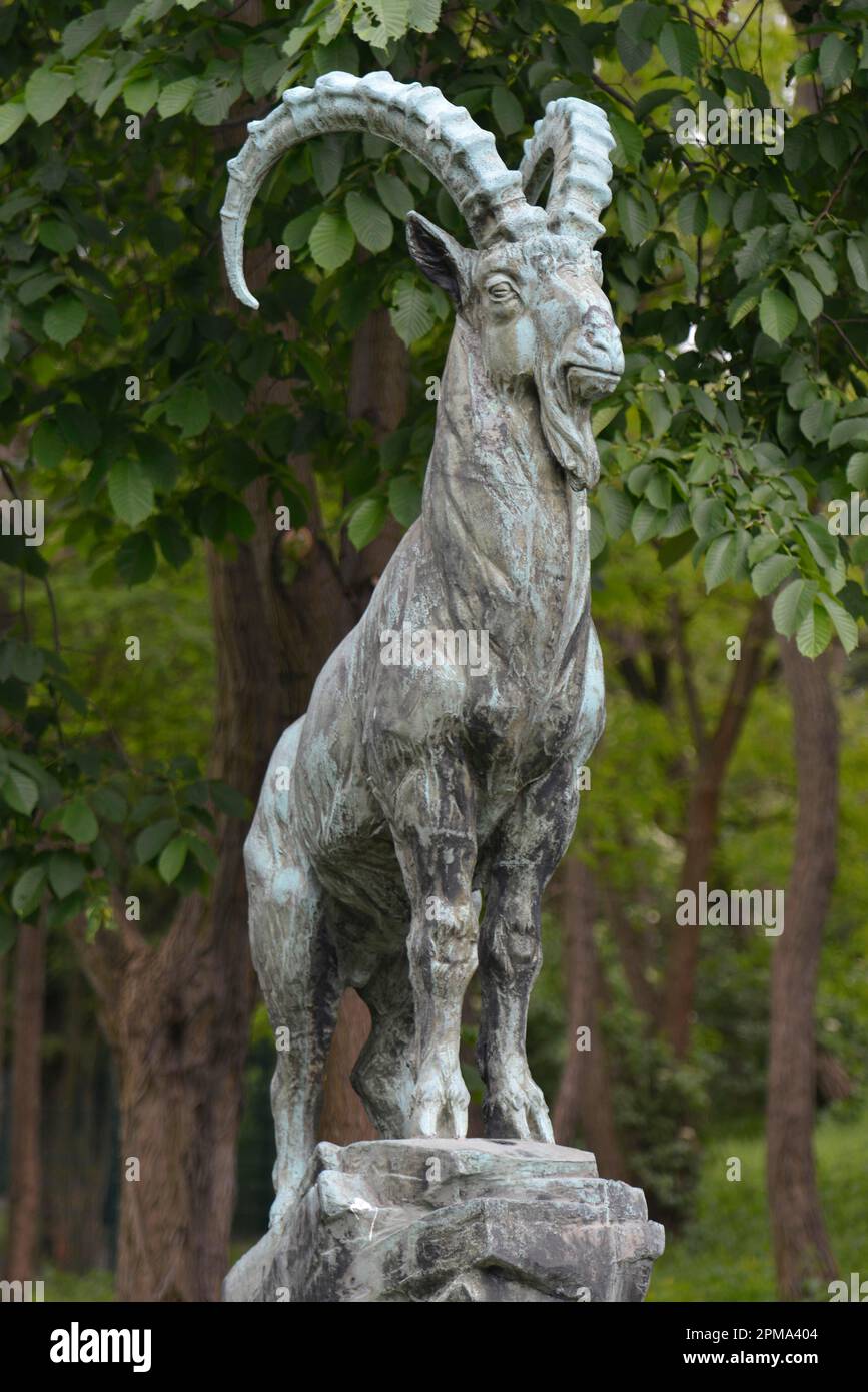 Bronze ibex hi-res stock photography and images - Alamy