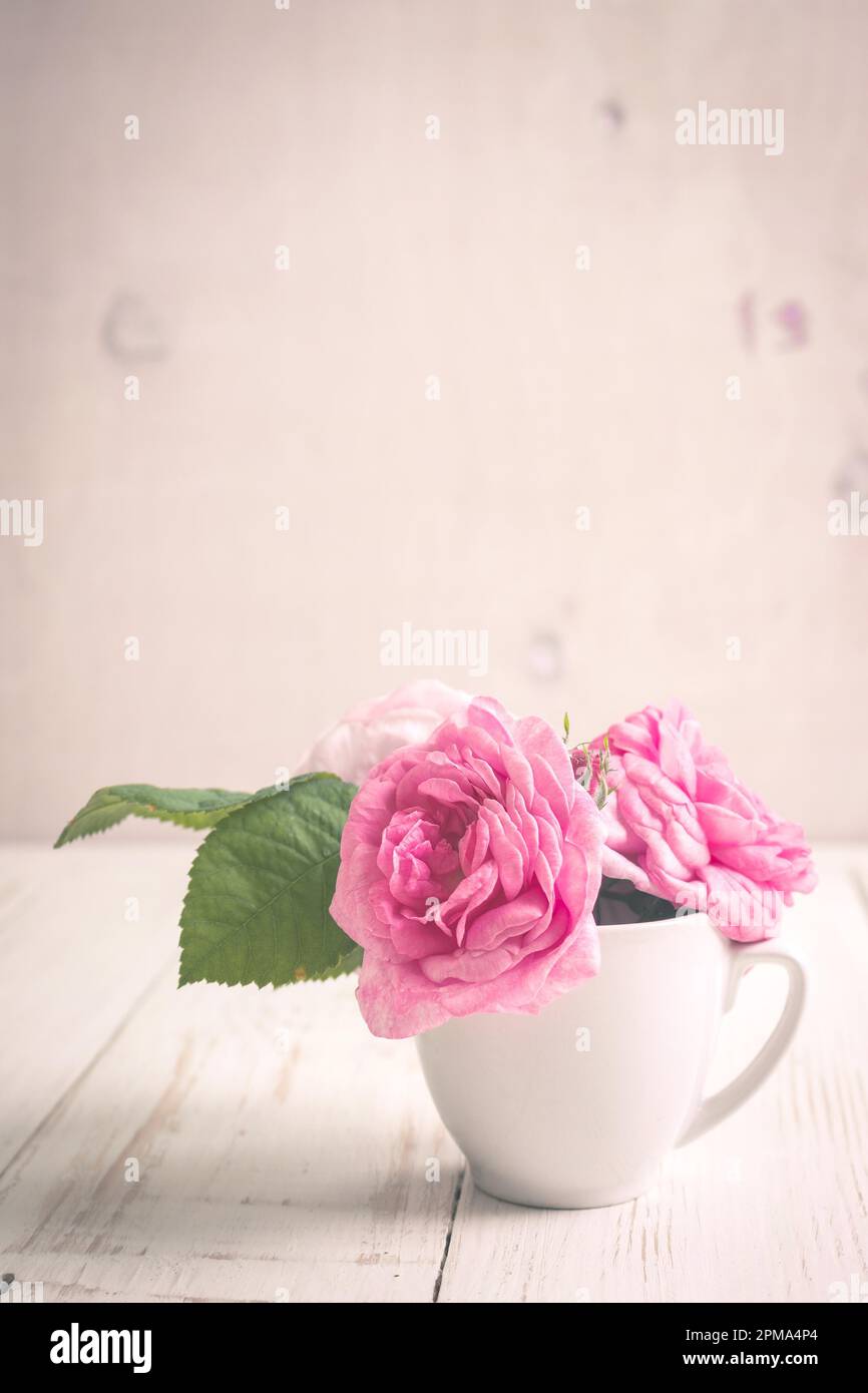 Beautiful pink tea roses on a white wooden background. Romantic ...