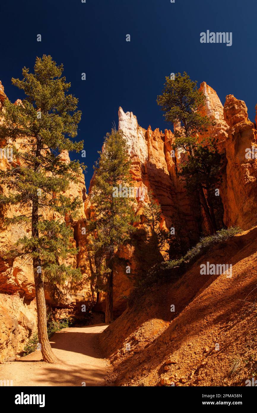 Navajo Loop Trail, Bryce Canyon, Utah, USA Stock Photo - Alamy