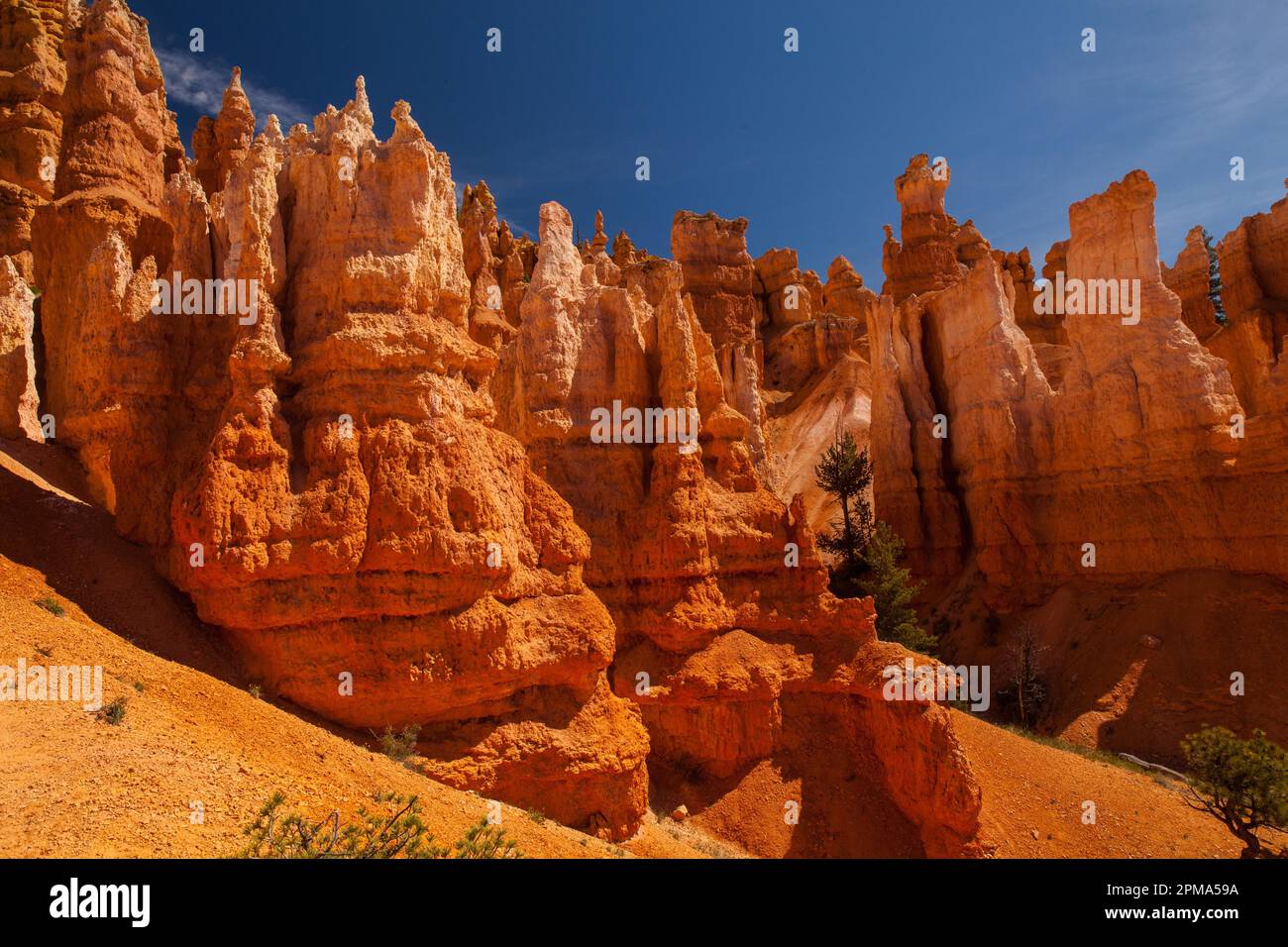 Navajo Loop Trail, Bryce Canyon, Utah, USA Stock Photo - Alamy