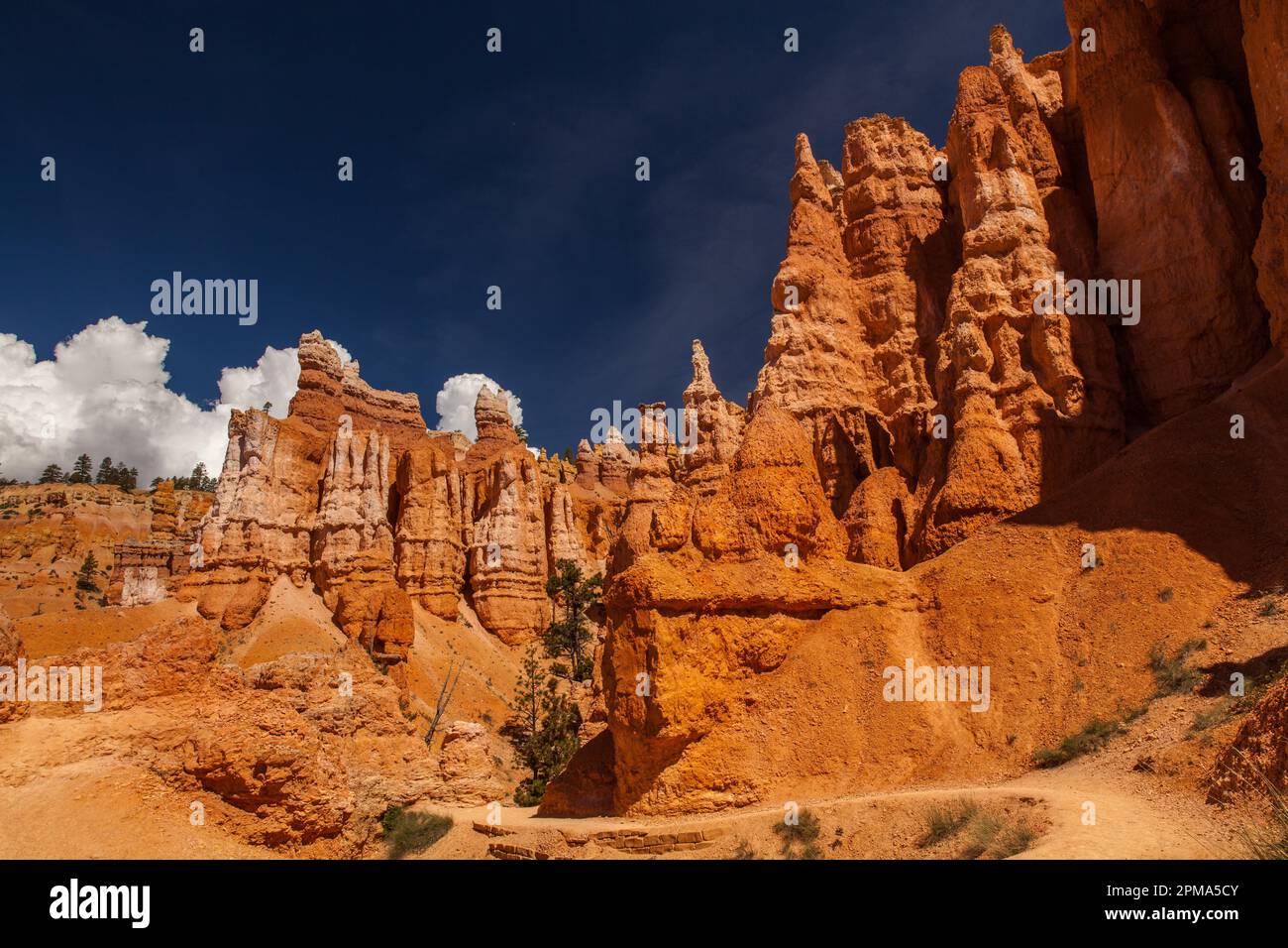 Navajo Loop Trail, Bryce Canyon, Utah, USA Stock Photo - Alamy