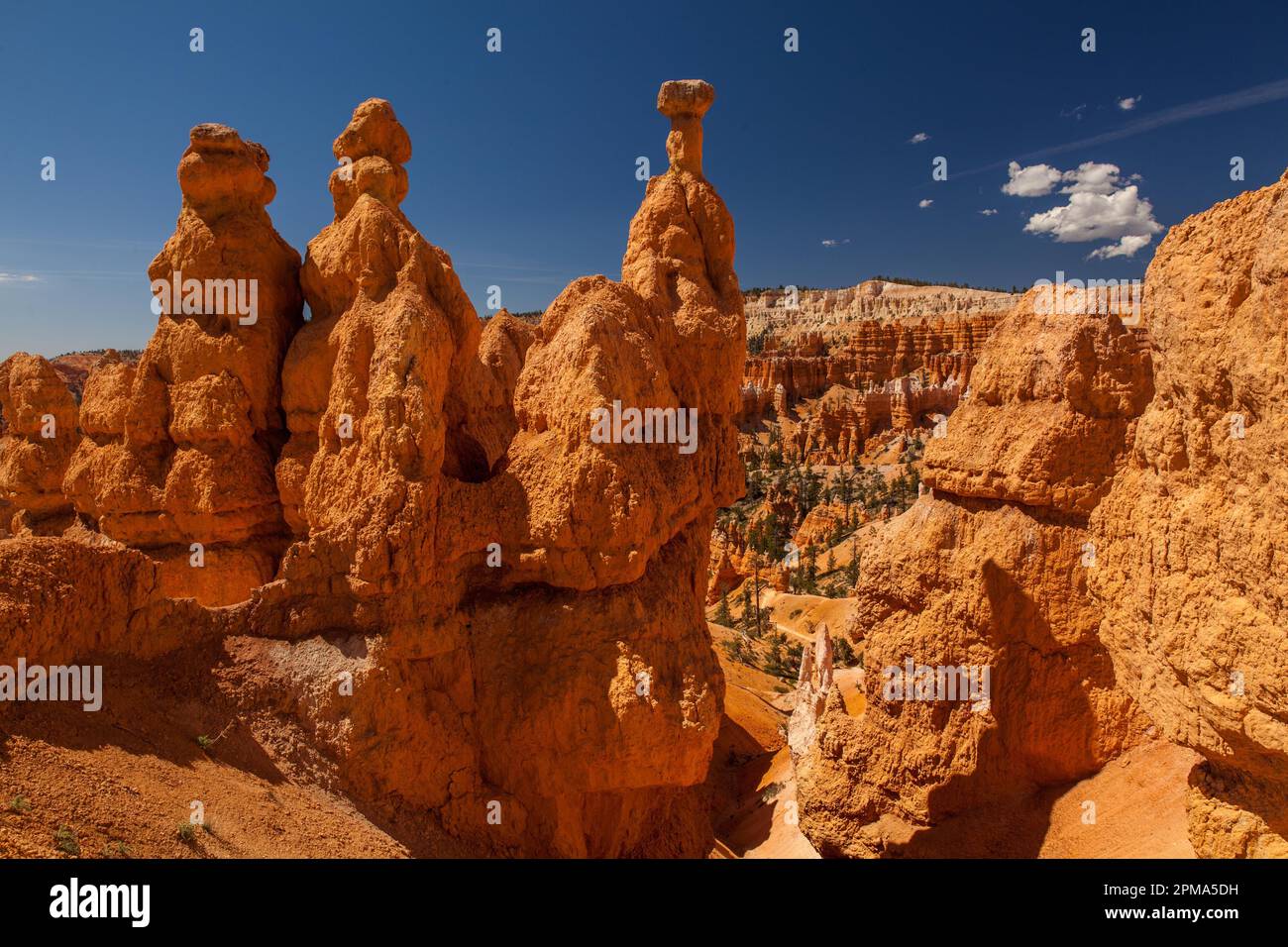Navajo Loop Trail, Bryce Canyon, Utah, USA Stock Photo - Alamy