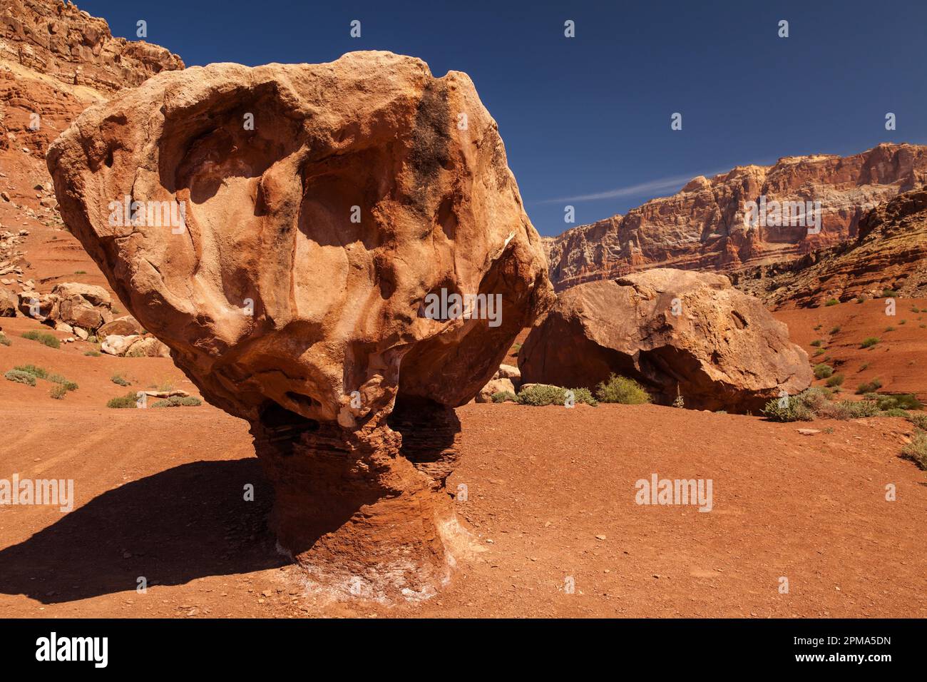 Balanced environment hi-res stock photography and images - Alamy