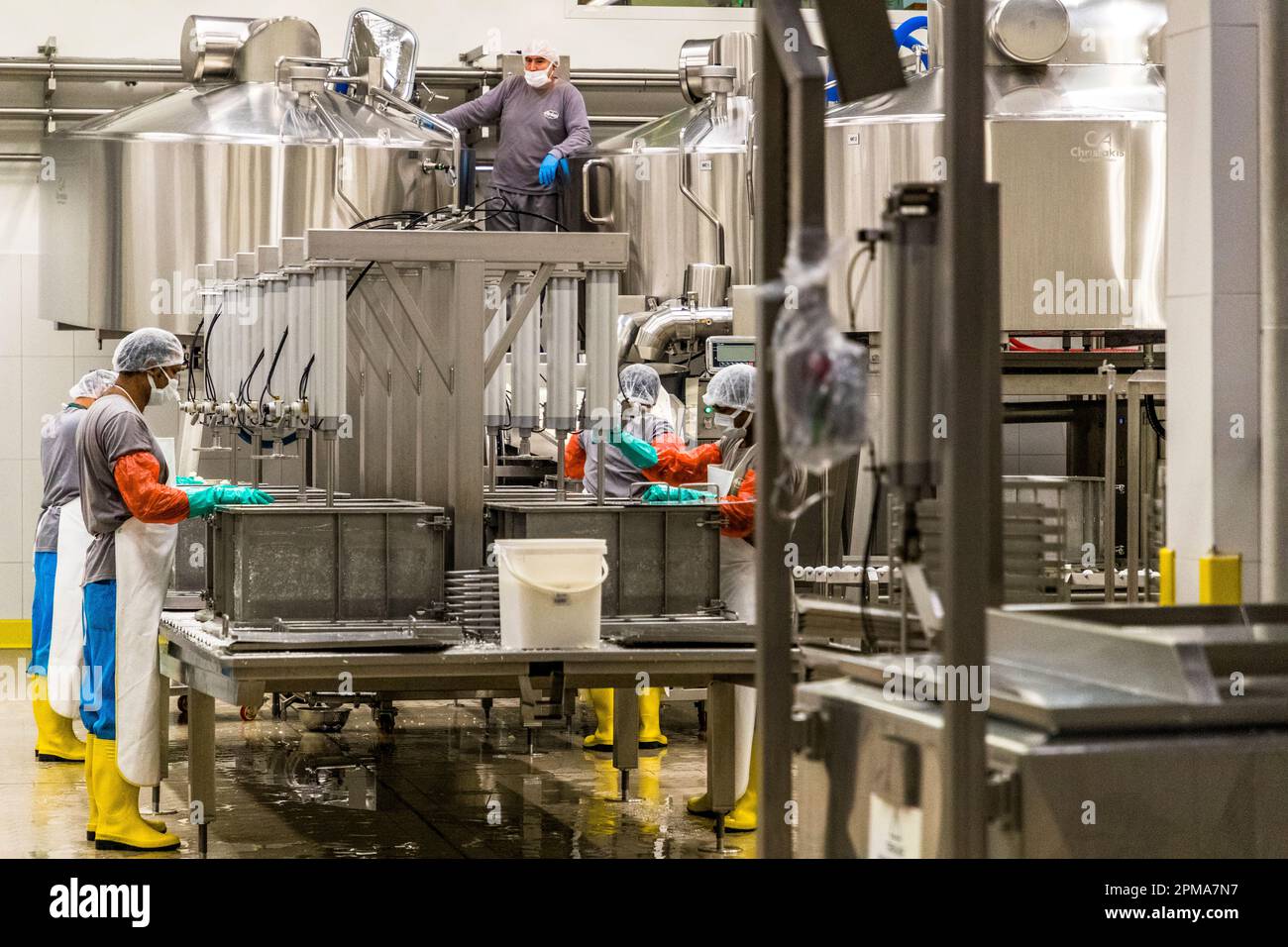 Dairy and hellim (halloumi) cheese production in Nicosia, Cyprus Stock ...