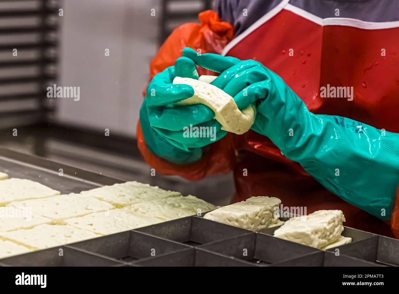 Dairy and hellim (halloumi) cheese production in Nicosia, Cyprus Stock ...