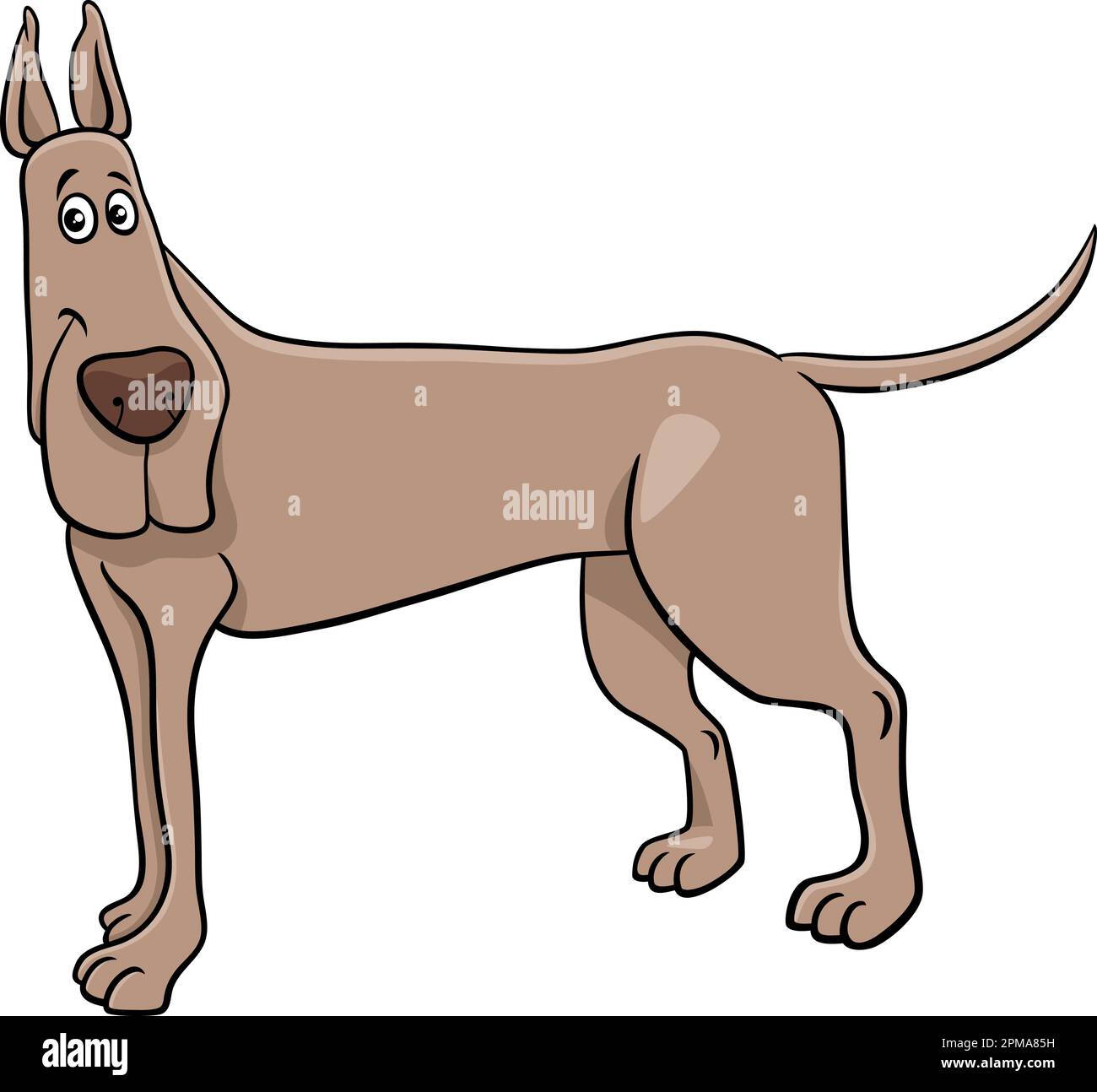 Cartoon illustration of Great Dane purebred dog animal character Stock ...