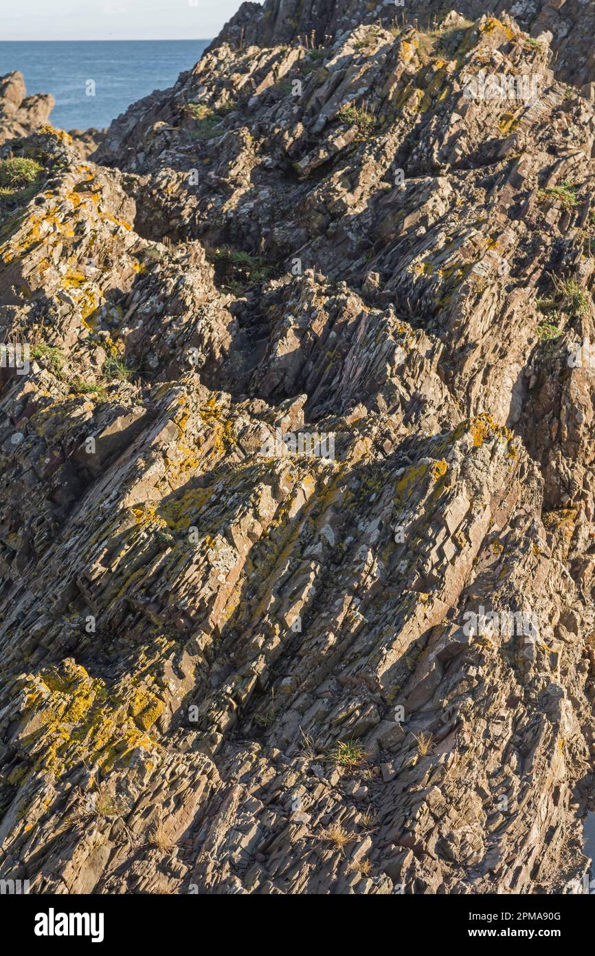 Rugged rocks on the Scottish coast near Eyemouth Stock Photo - Alamy