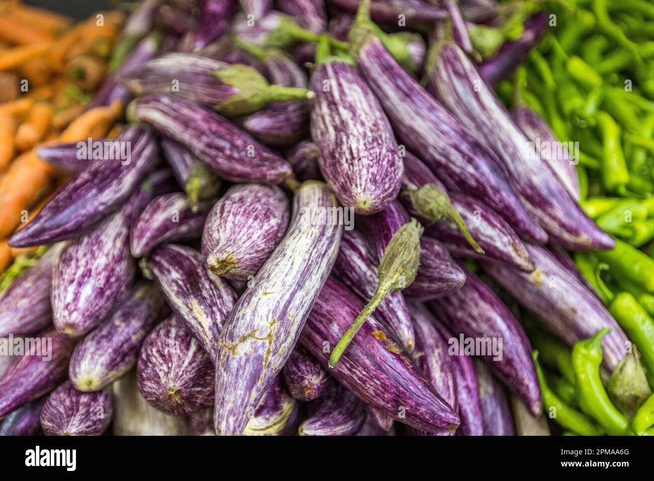 Eggplants in Lefkoşa. Cyprus is a very fertile country with a high ...