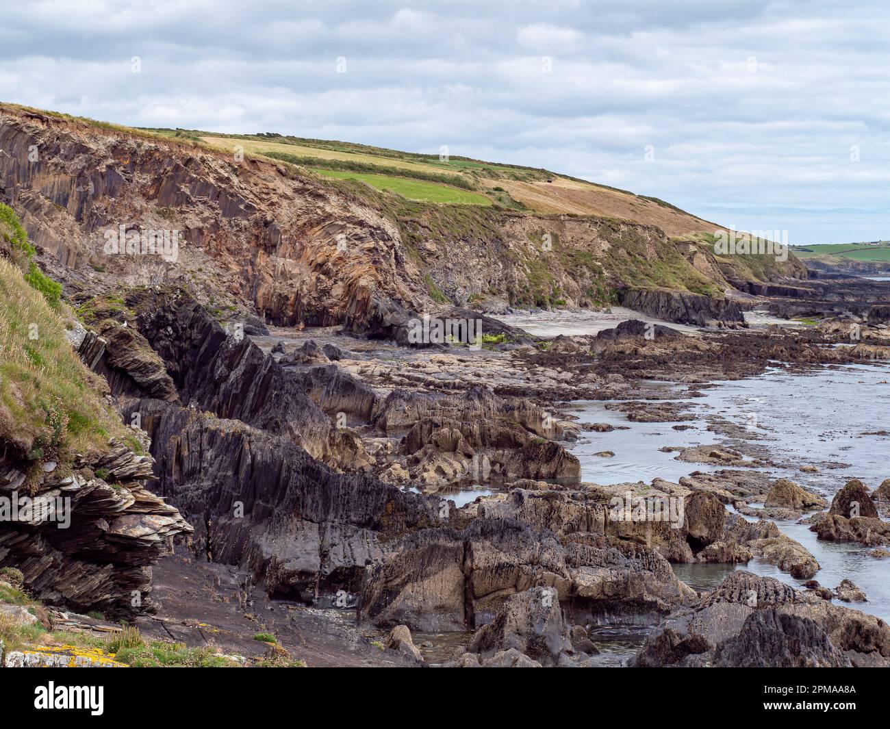 Picturesque Irish seaside landscape. Wild vegetation grows on stony ...