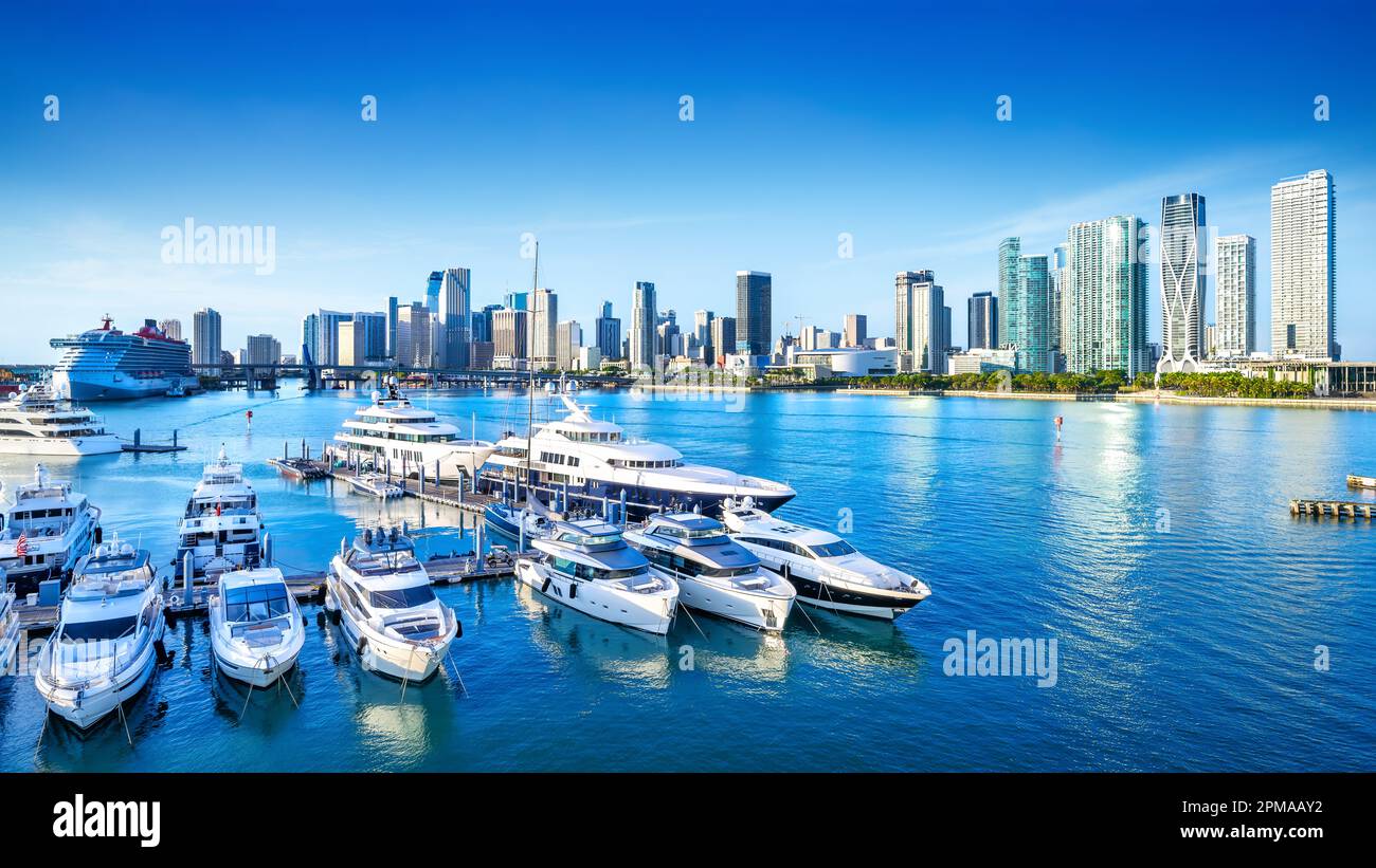 the skyline of miami under a blue sky, florida Stock Photo - Alamy