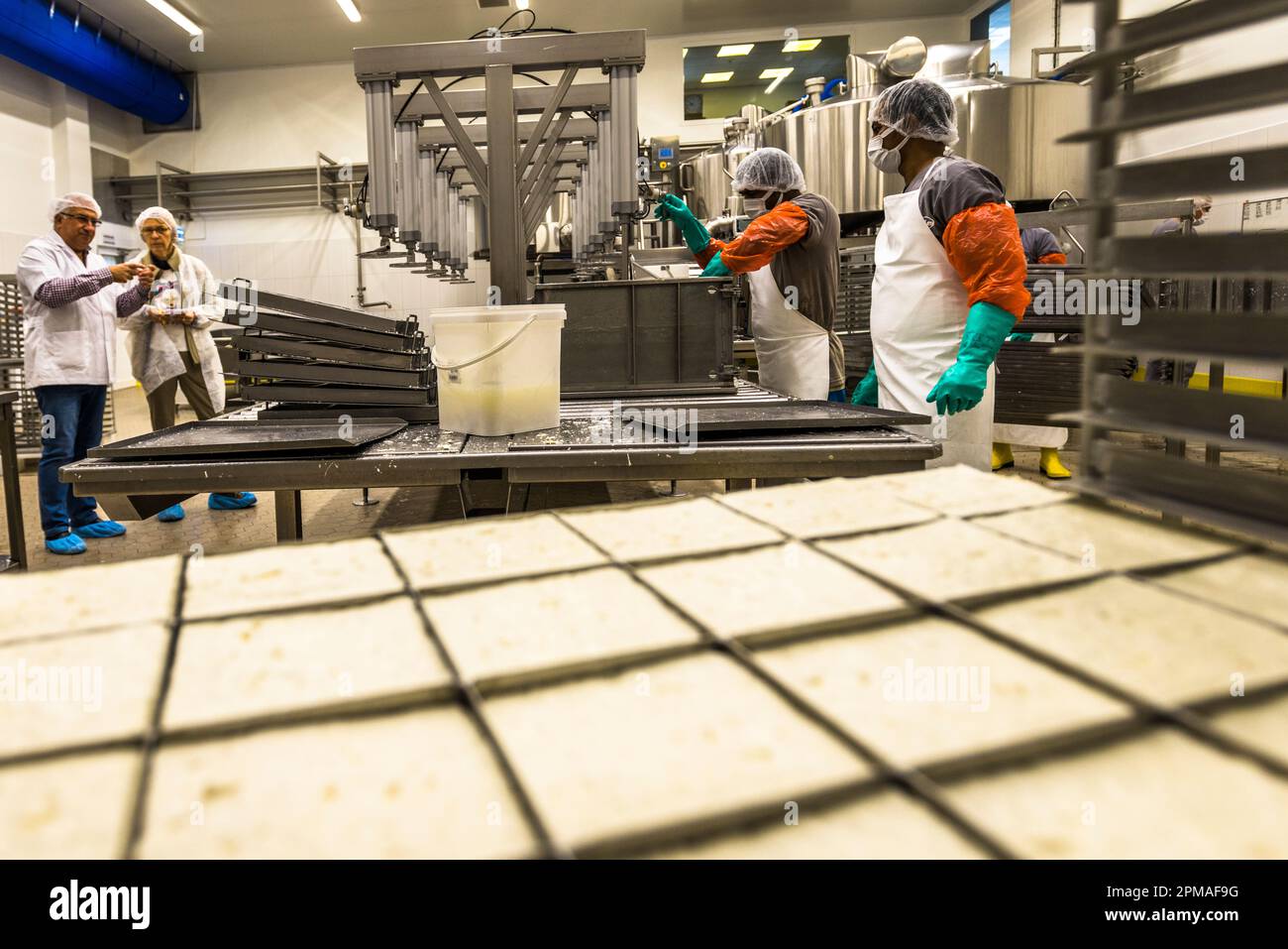 Dairy and hellim (halloumi) cheese production in Nicosia, Cyprus Stock ...
