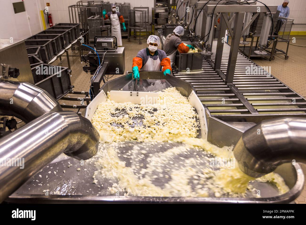 Dairy and hellim (halloumi) cheese production in Nicosia, Cyprus Stock ...