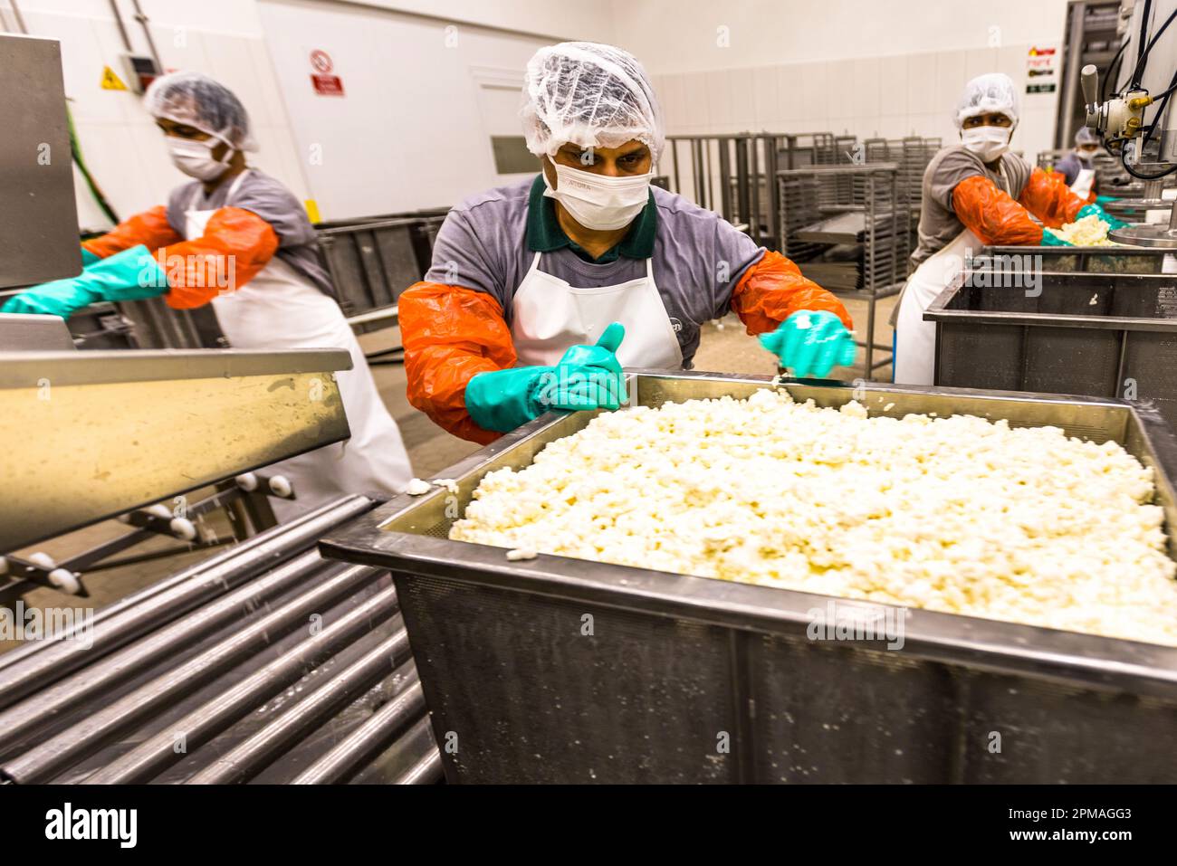 Dairy and hellim (halloumi) cheese production in Nicosia, Cyprus Stock ...